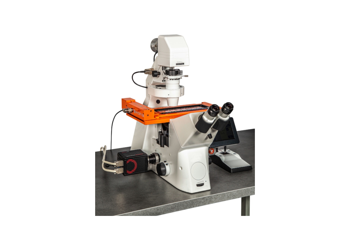 Flexible Brightfield and Fluorescence Scanning System