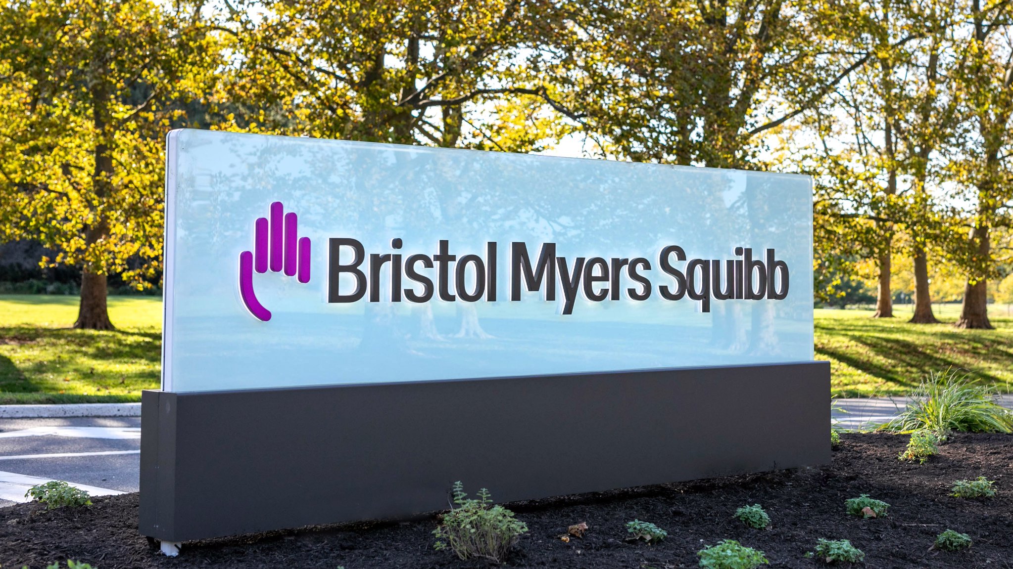 Cell Therapy Facility, Leiden Bio Science Park, Bristol Myers Squibb ...