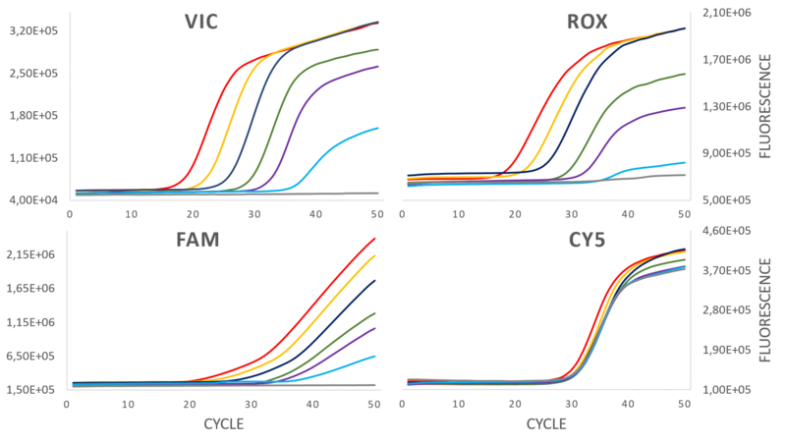 Real-time 5X Multiplex qPCR Master Mix - Products