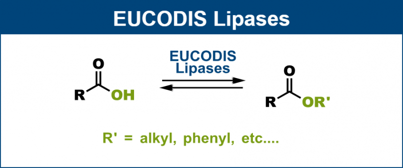Microbial Lipases for the Pharmaceutical Industry