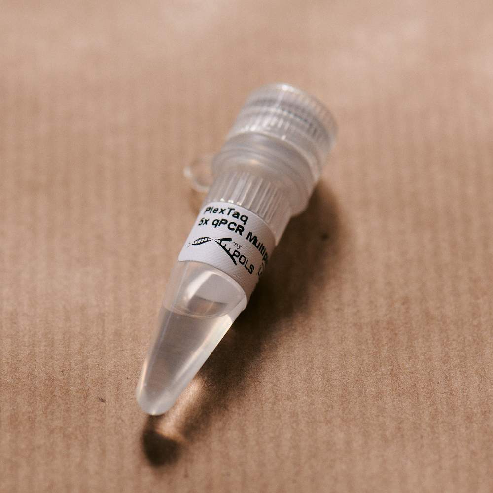 Real-time 5X Multiplex qPCR Master Mix - Products