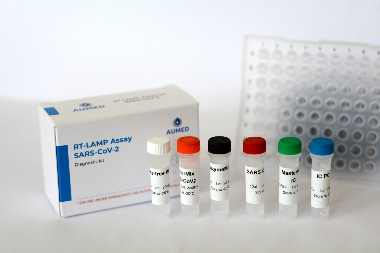 RT-LAMP Assay Kit for Diagnostics of SARS-CoV-2 - Products
