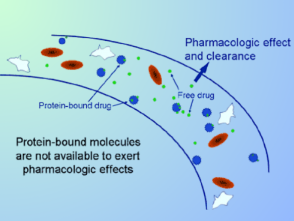 Measuring Plasma Protein Binding: The Key to Unlocking Drug Efficacy and Safety