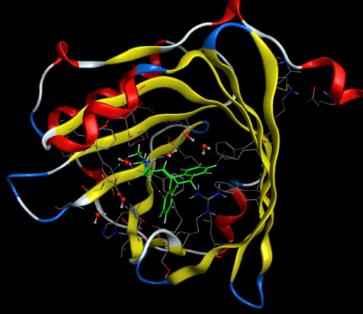 Measuring Plasma Protein Binding: The Key to Unlocking Drug Efficacy ...
