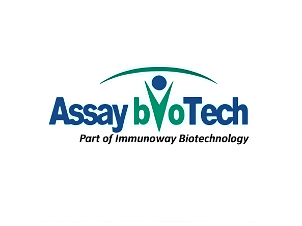 Assay Biotechnology - High-quality Antibodies and ELISA Kits