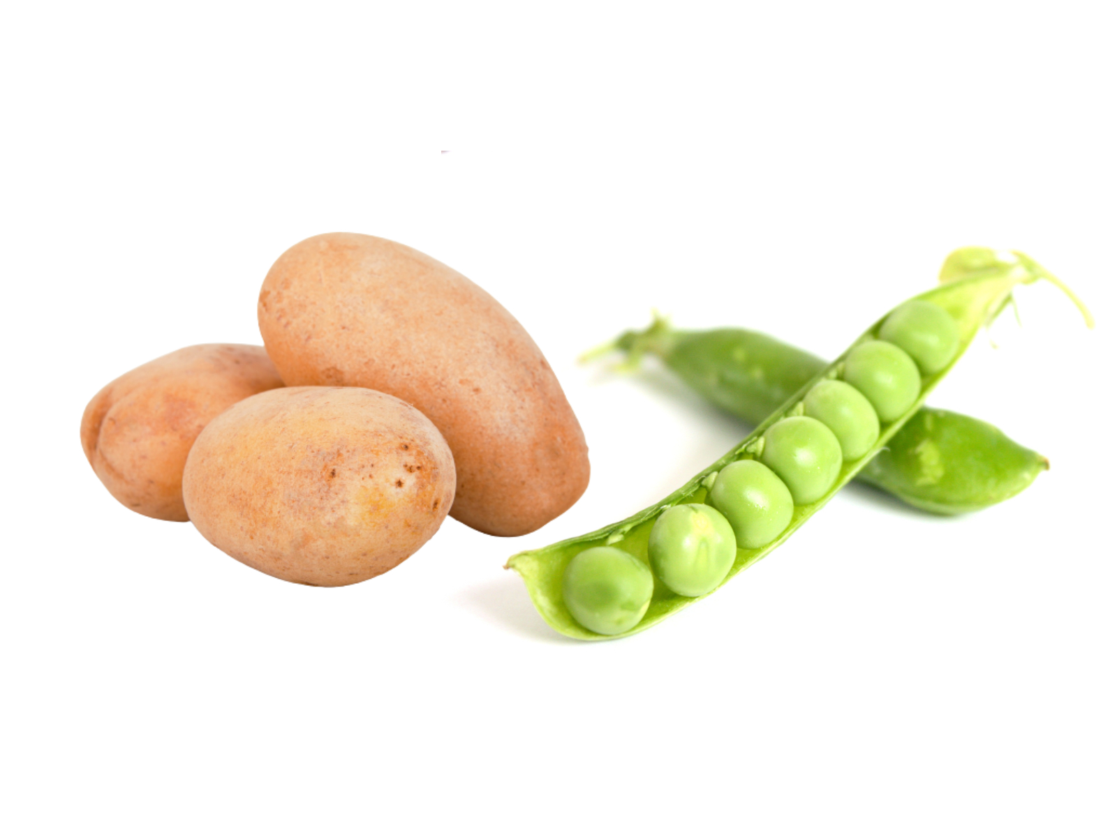 Vegetable Peptones (Potato and Pea)