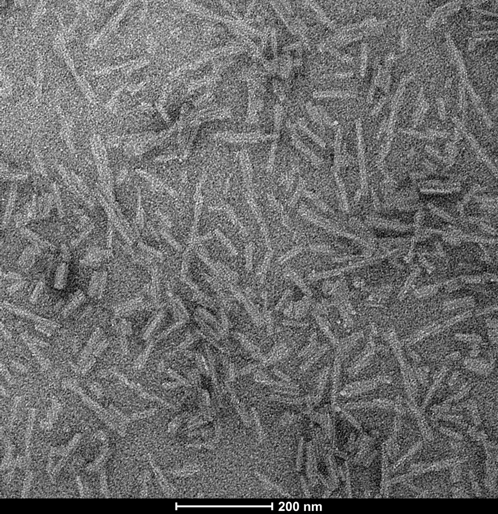 Parkinson's Disease Research Products