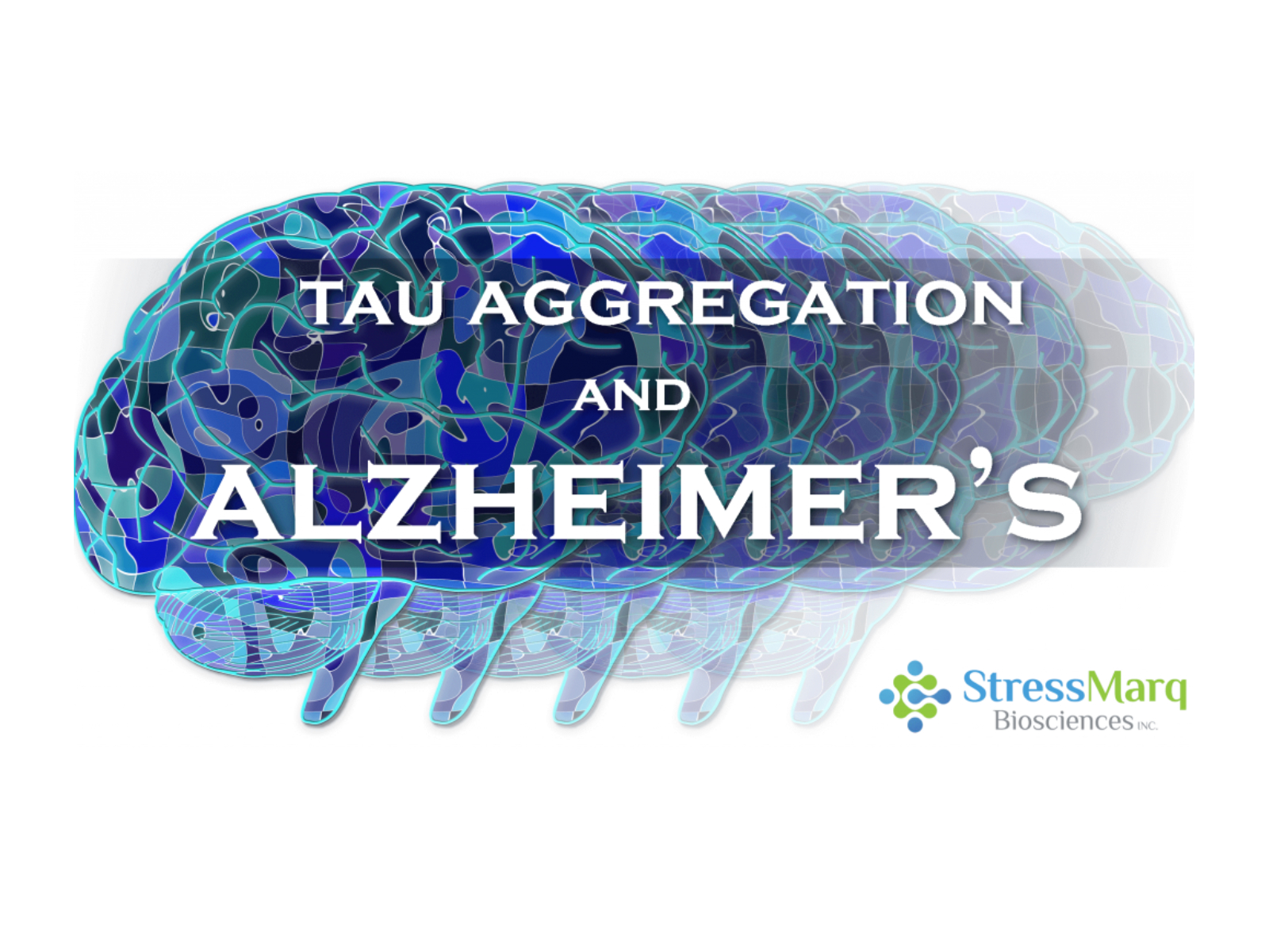 The Role of Tau Aggregation in Alzheimer’s Disease Pathology and Prevention