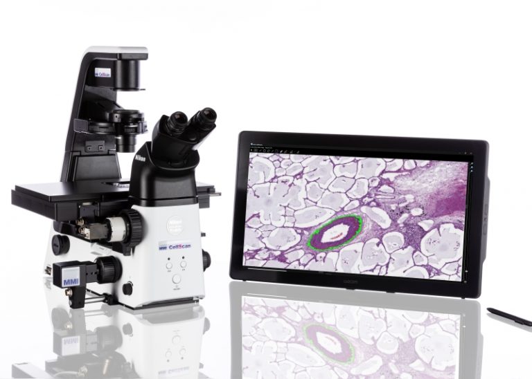 AI-powered Automated Tissue Analysis Software