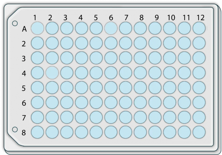Choosing the Right Well Plate Format for Your Research