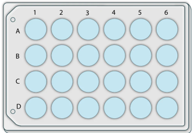 Choosing the Right Well Plate Format for Your Research