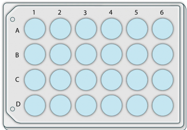 Choosing the Right Well Plate Format for Your Research