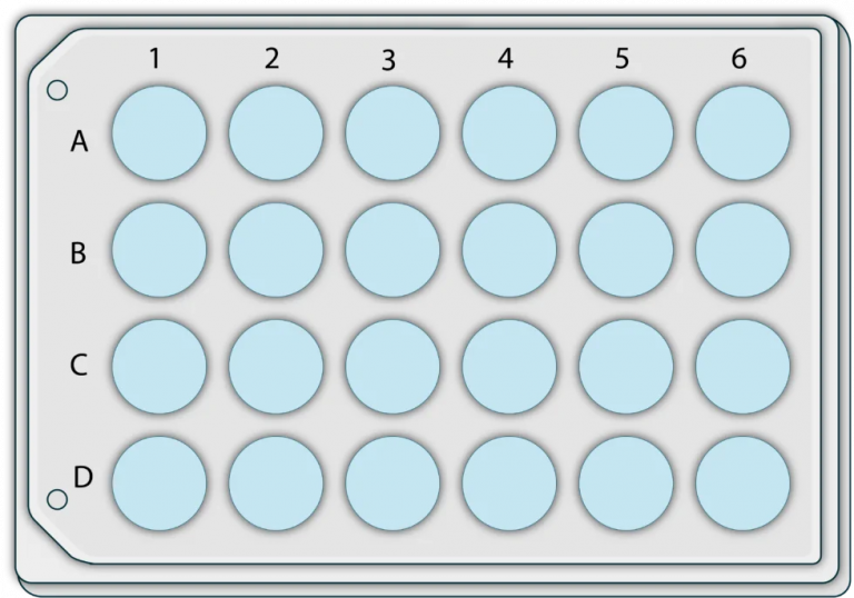 Choosing the Right Well Plate Format for Your Research