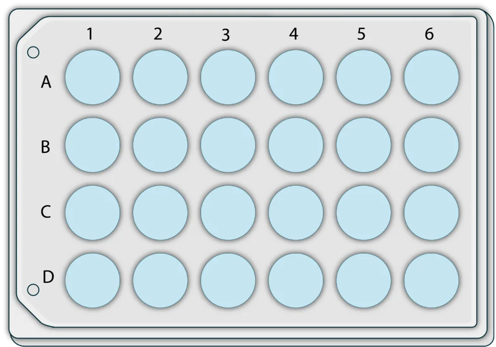 Choosing the Right Well Plate Format for Your Research