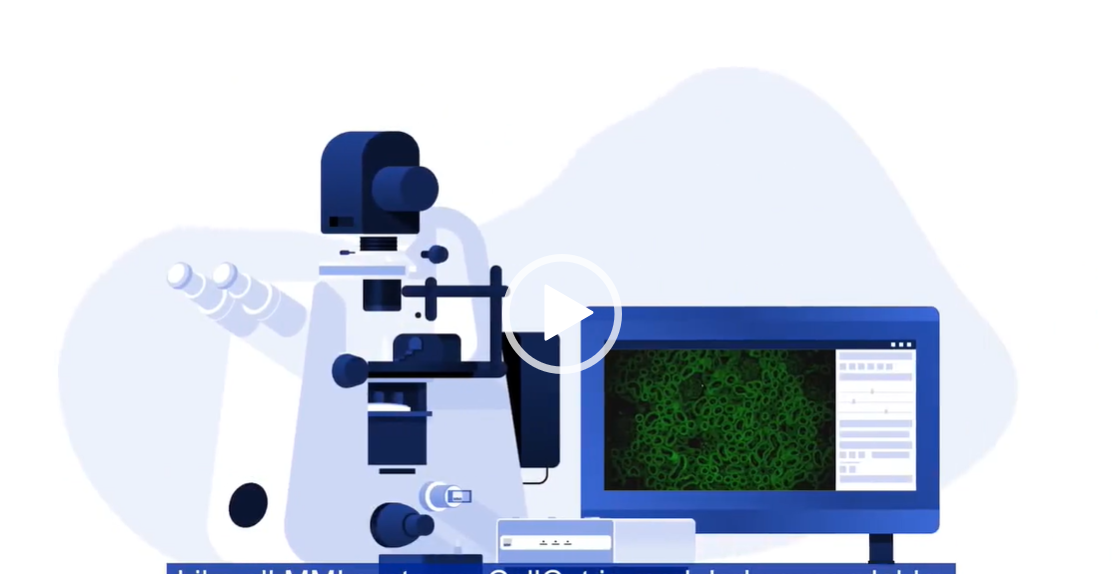 Cutting-Edge Laser Microdissection Advancements - Video