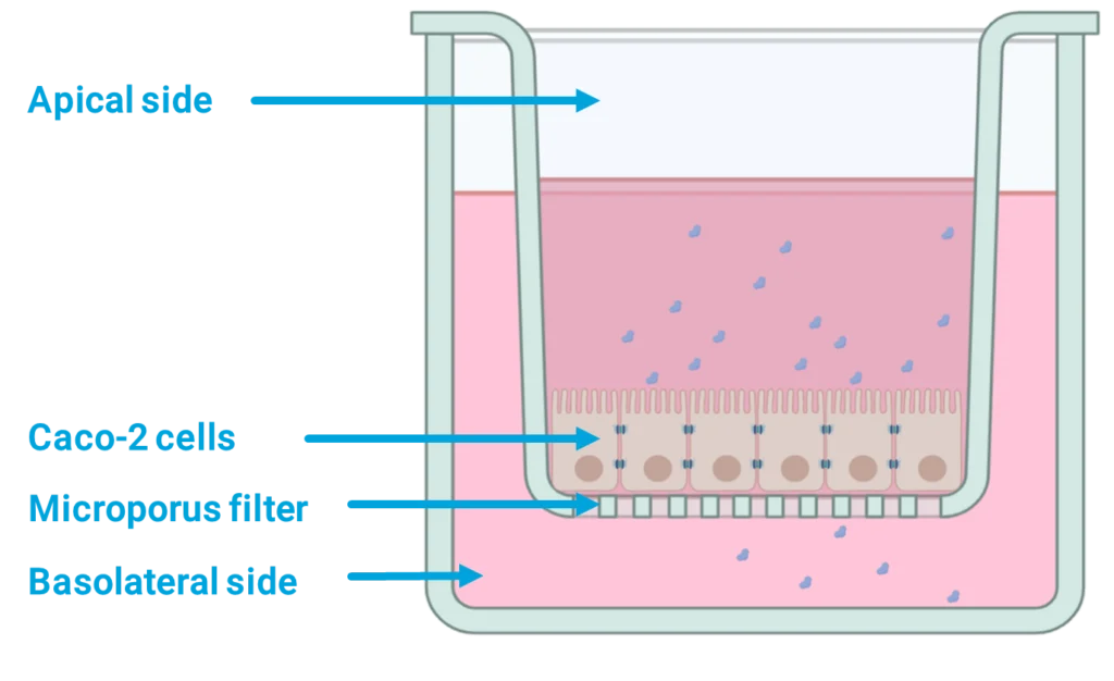 Choosing the Right Well Plate Format for Your Research