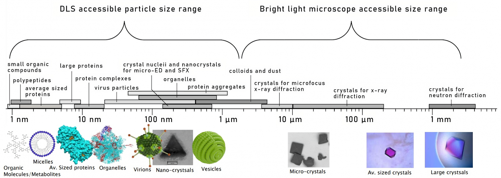 Dynamic Light Scattering (DLS) Particle Size Analyzer
