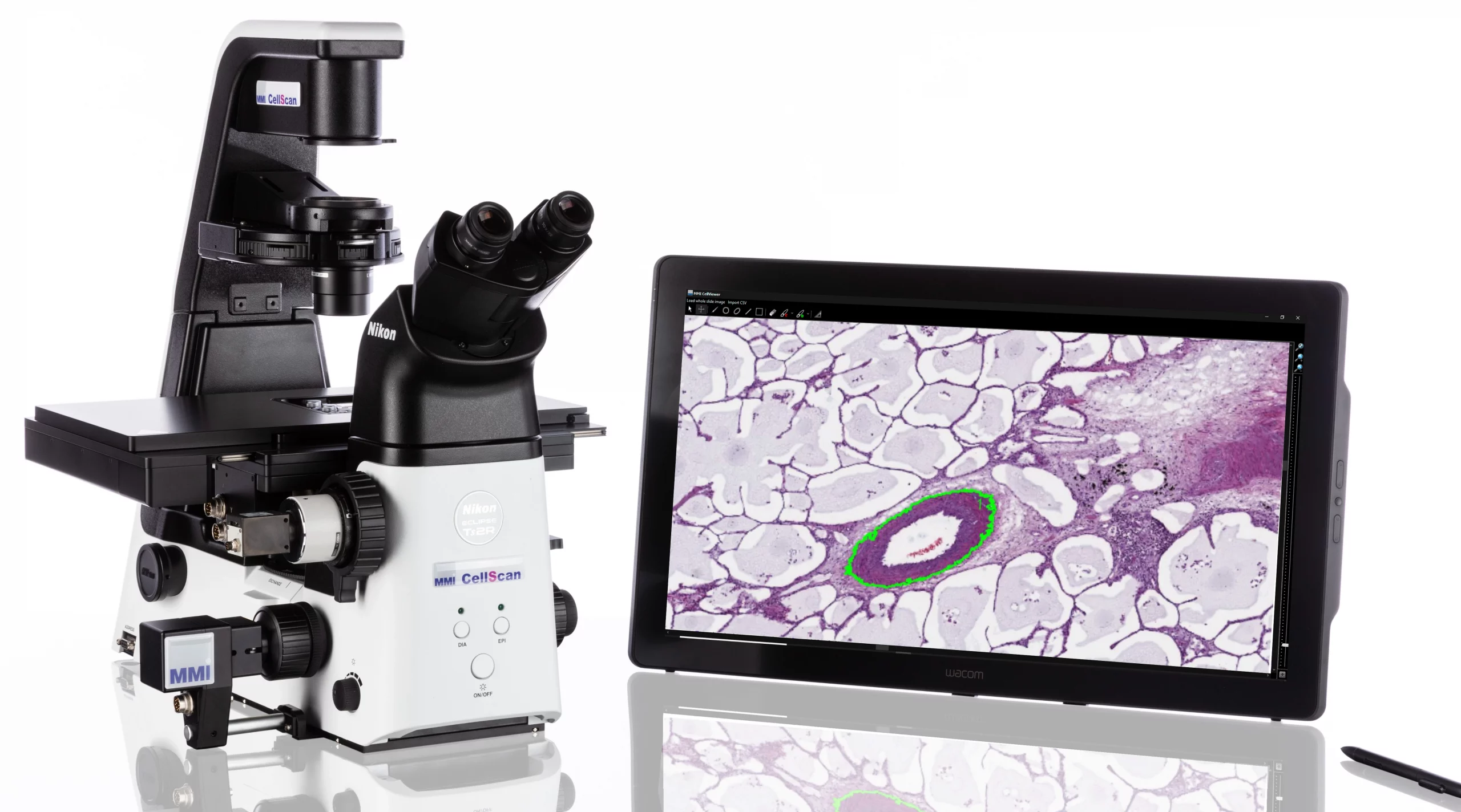 AI-powered Automated Tissue Analysis Software