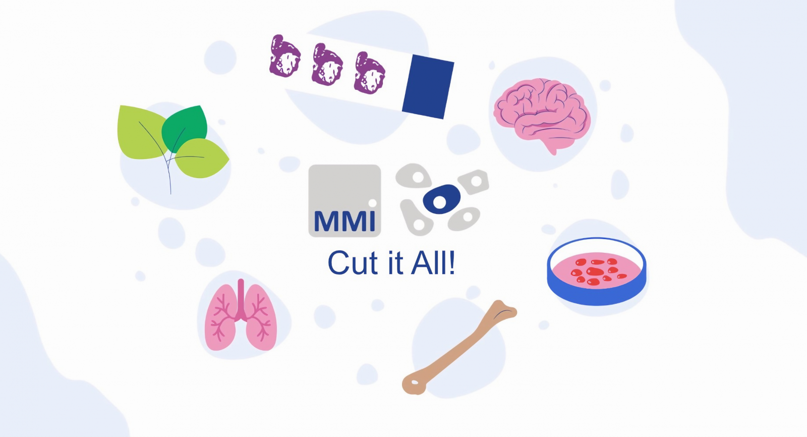 High-precision Laser Microdissection System