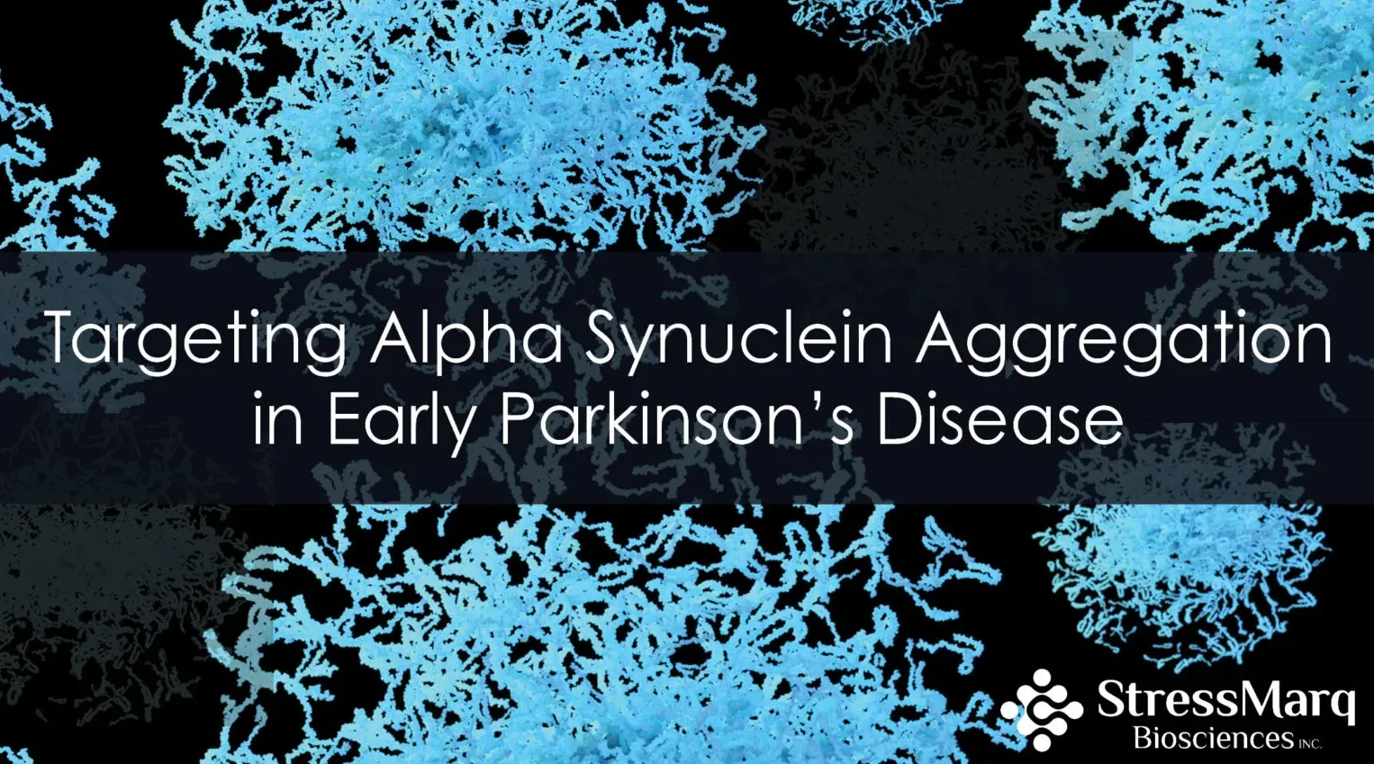 Alpha-Synuclein Aggregation: A Key Target in the Battle Against ...