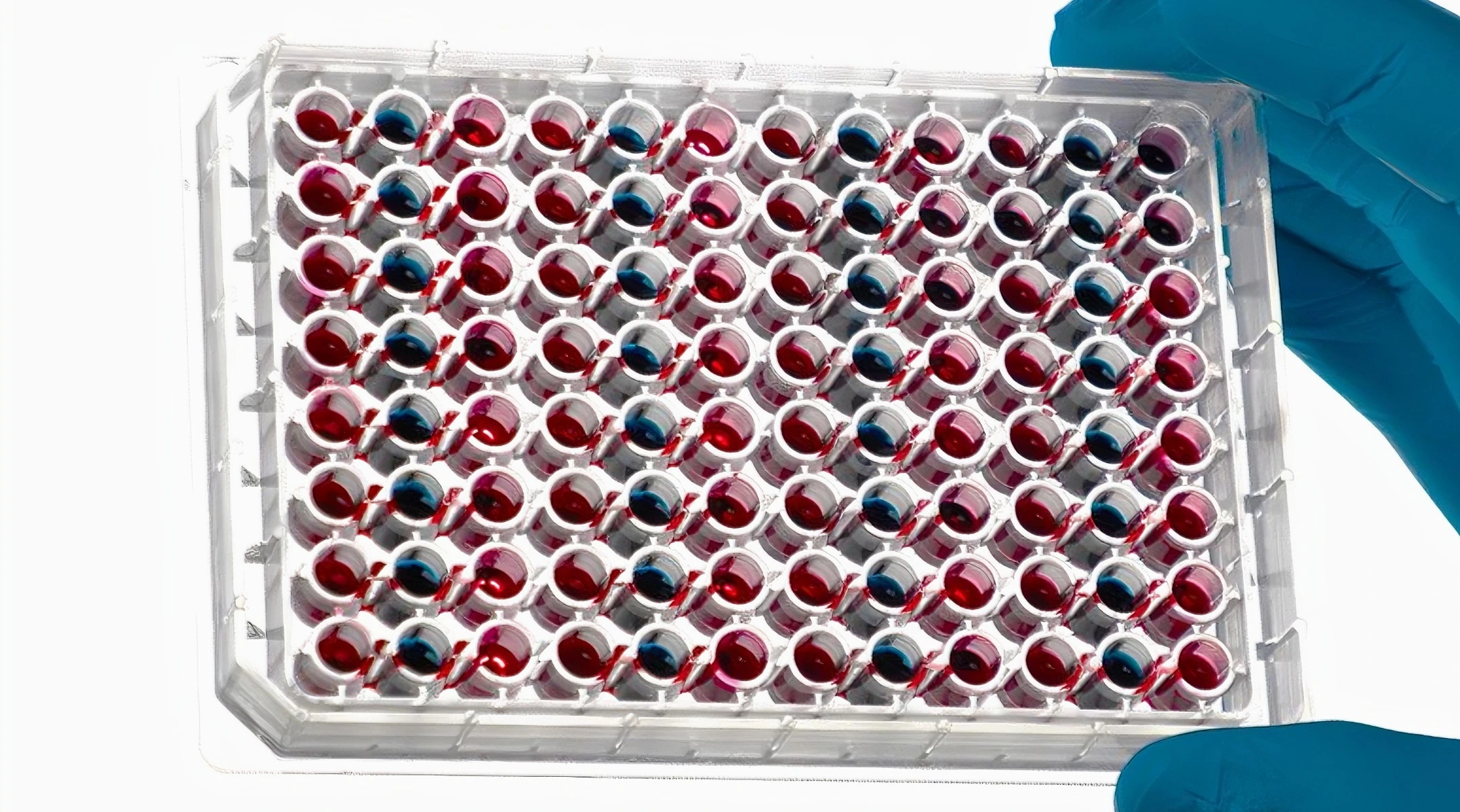 Microfluidic Platform for Advanced In Vitro Research - AKITA® Plate96 ...