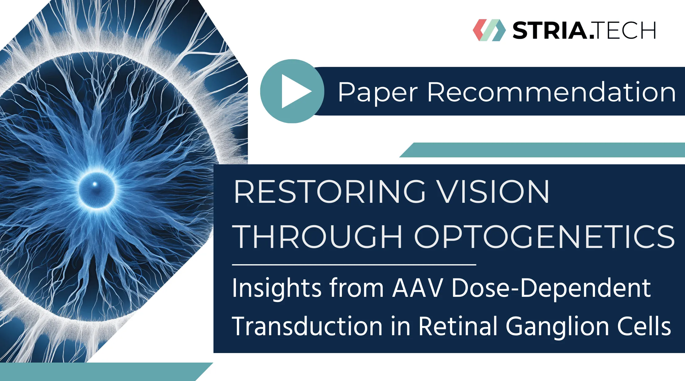 Breakthrough in Vision Restoration Through Optogenetics