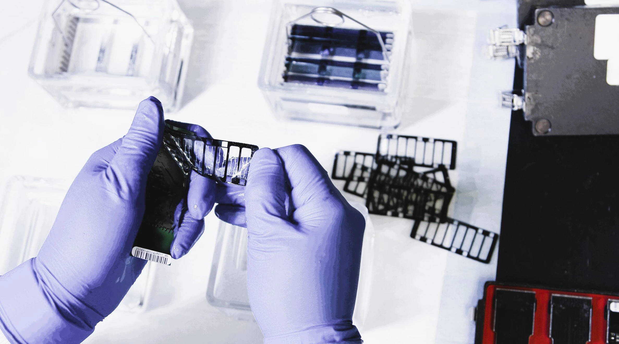 Variant Bio Partners with Novo Nordisk to Discover Novel Targets for ...