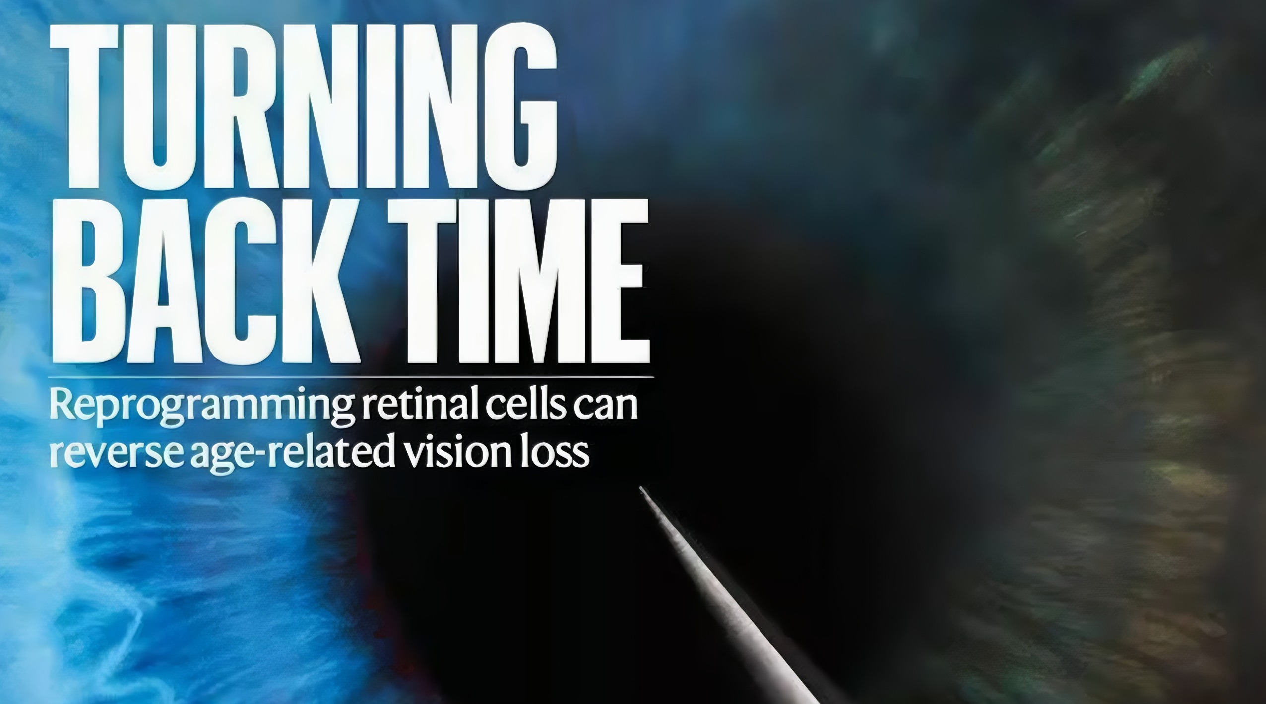 Harvard Scientists Reverse Age-Related Vision Loss