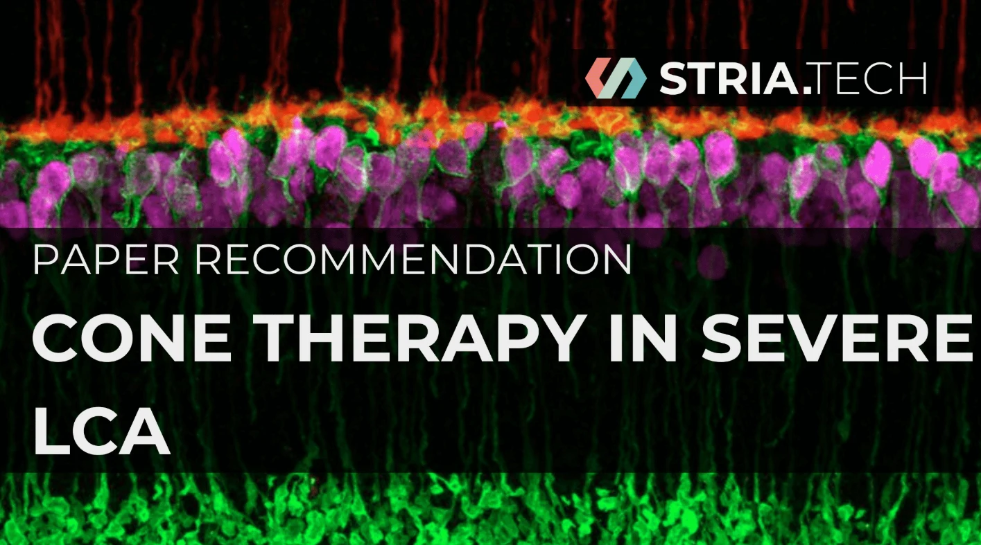 Evaluating Photoreceptor Replacement as a Viable Therapy in a Late ...